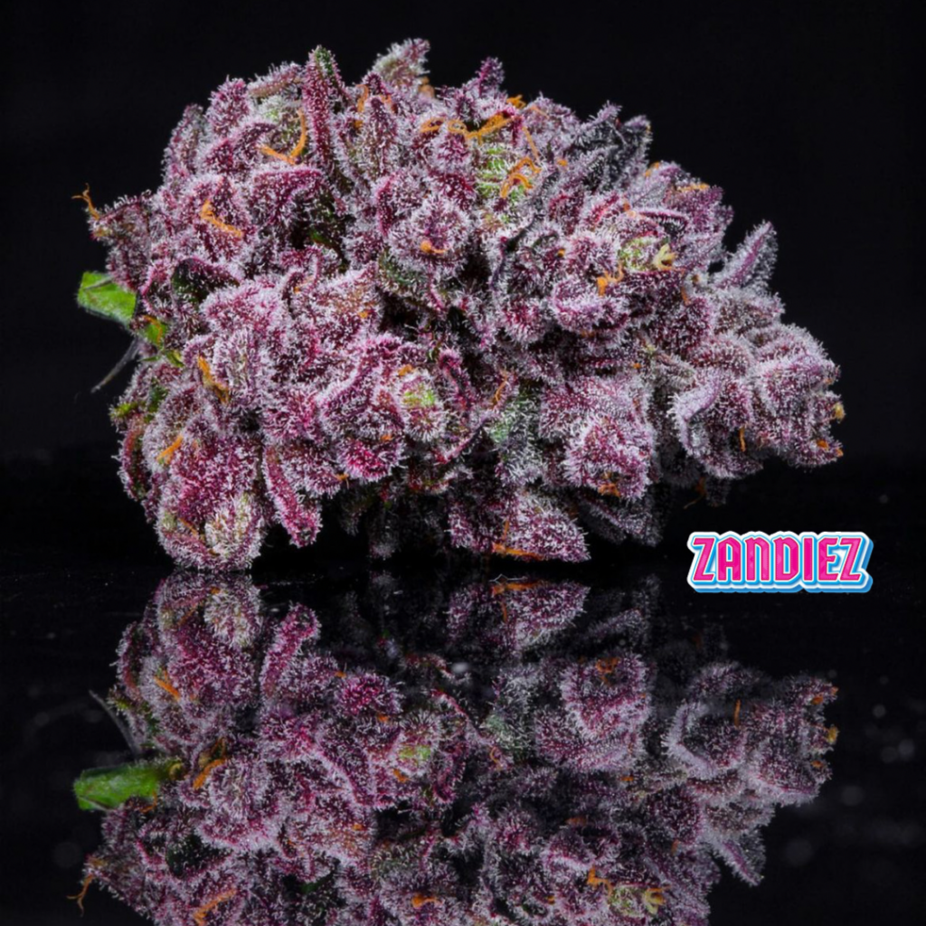Lit Farms - Zandiez (F) fullpack (Presale) - Supreme Seed Bank ...
