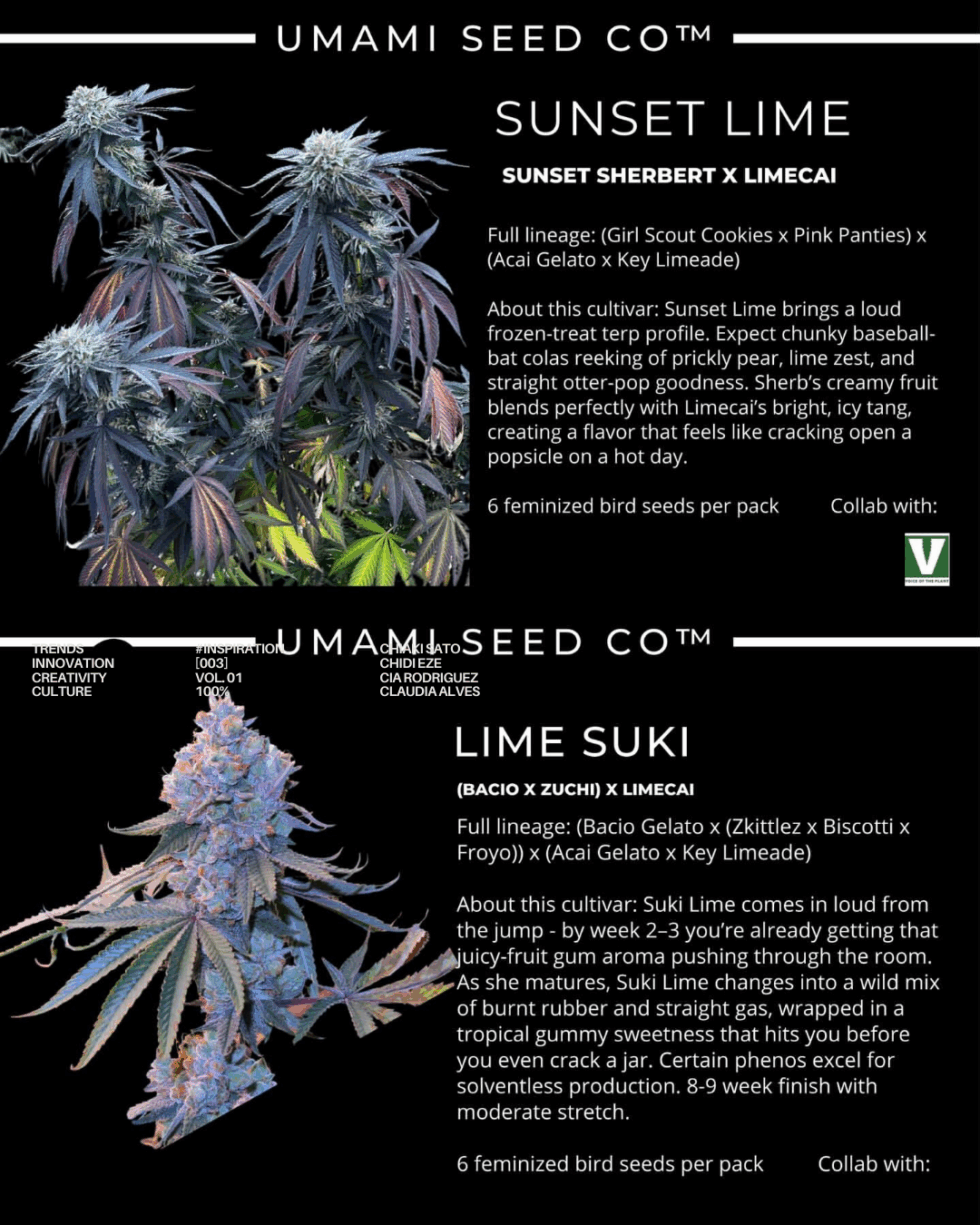 Home - Supreme Seed Bank